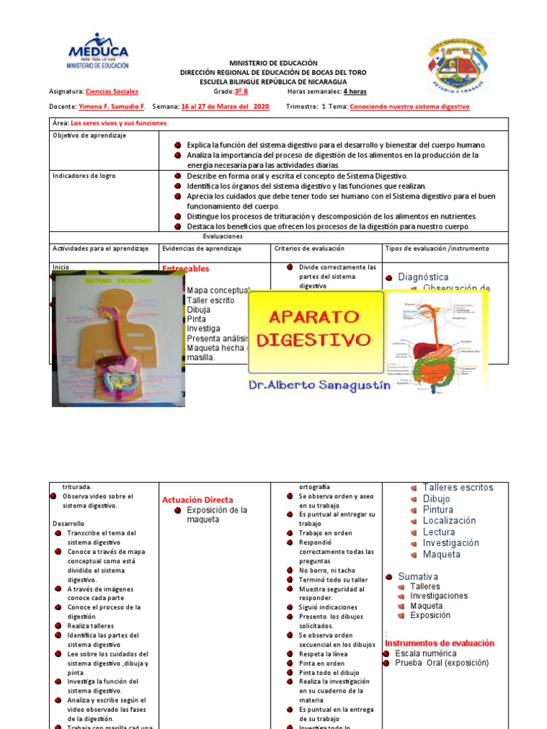 Secuencia de Ciencias Naturales | PDF | Sistema digestivo humano ...