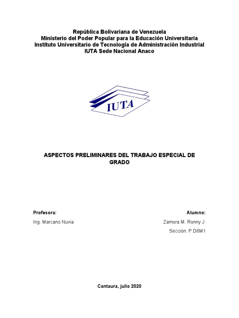 Aspectos Preliminares Del TEG | PDF | Metodología | Cognición