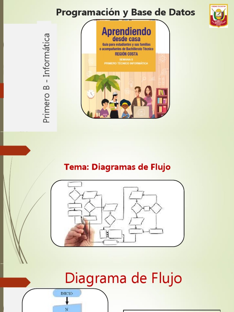 Actividades Programacion y Base de Datos | PDF | Algoritmos ...