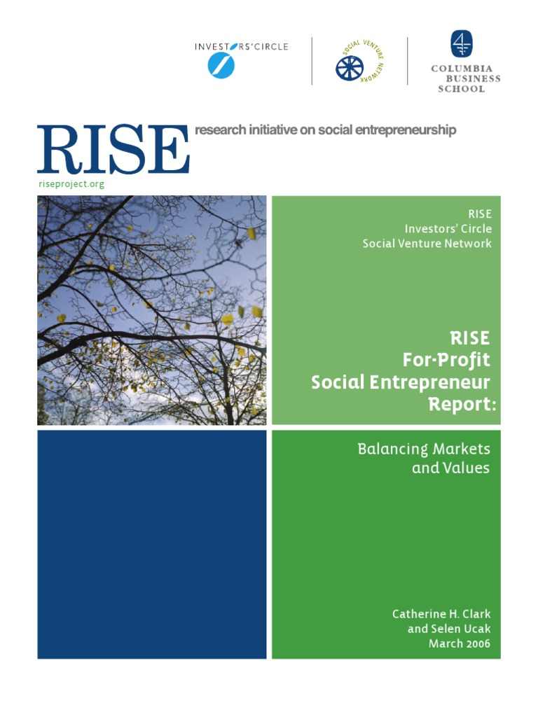 For Profit Social Entrepreneurs Report RISE | Social Entrepreneurship ...