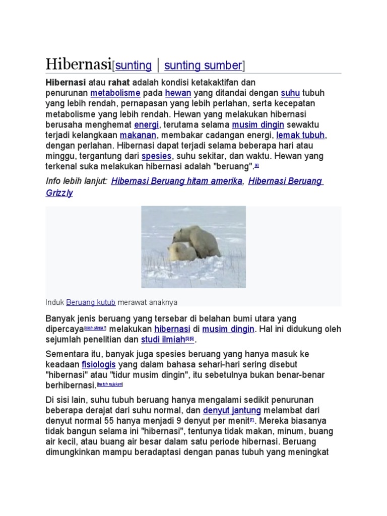 Hibernasi Beruang | PDF