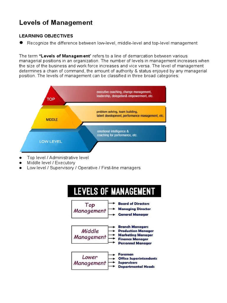 Levels of Management: Learning Objectives | PDF | Cognition | Business