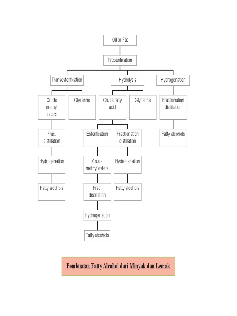 Fatty Alcohol Production Methods | PDF | Ester | Alcohol