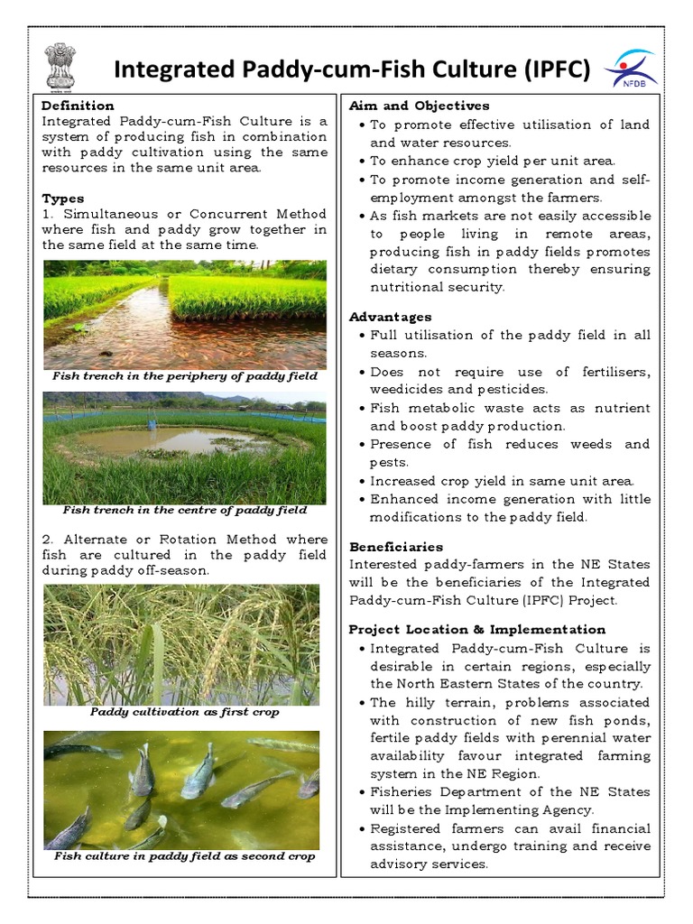 5.integrated Paddy-cum-Fish Culture (IPFC) PDF | PDF | Paddy Field | Rice
