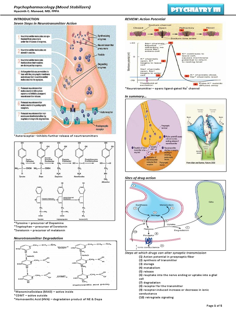 Psychopharmacology-Mood Stabilizer | PDF | Neurotransmitter | Diseases ...
