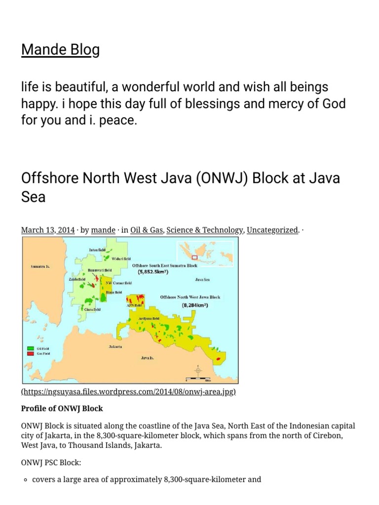 Overview of ONWJ Block Operations | PDF | Hydrocarbons | Oils