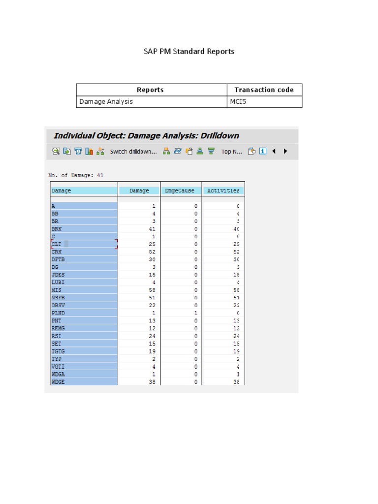 SAP PM Standard Reports Guide | PDF