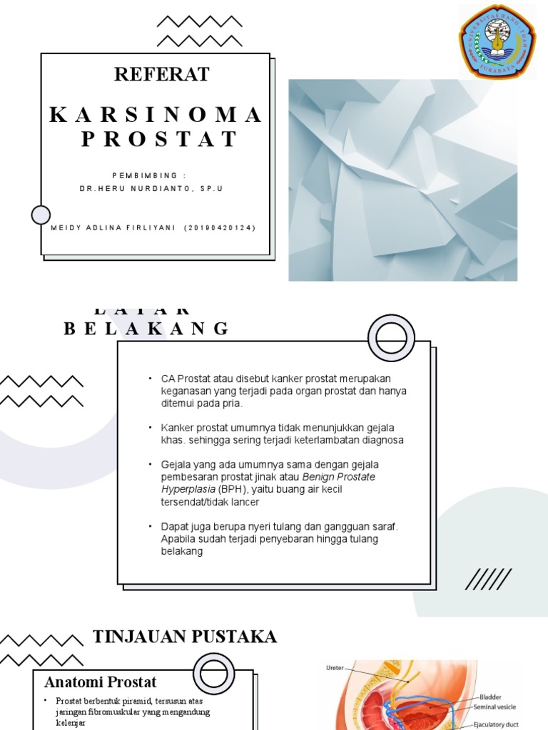 CA PROSTAT PPT Meidy | PDF