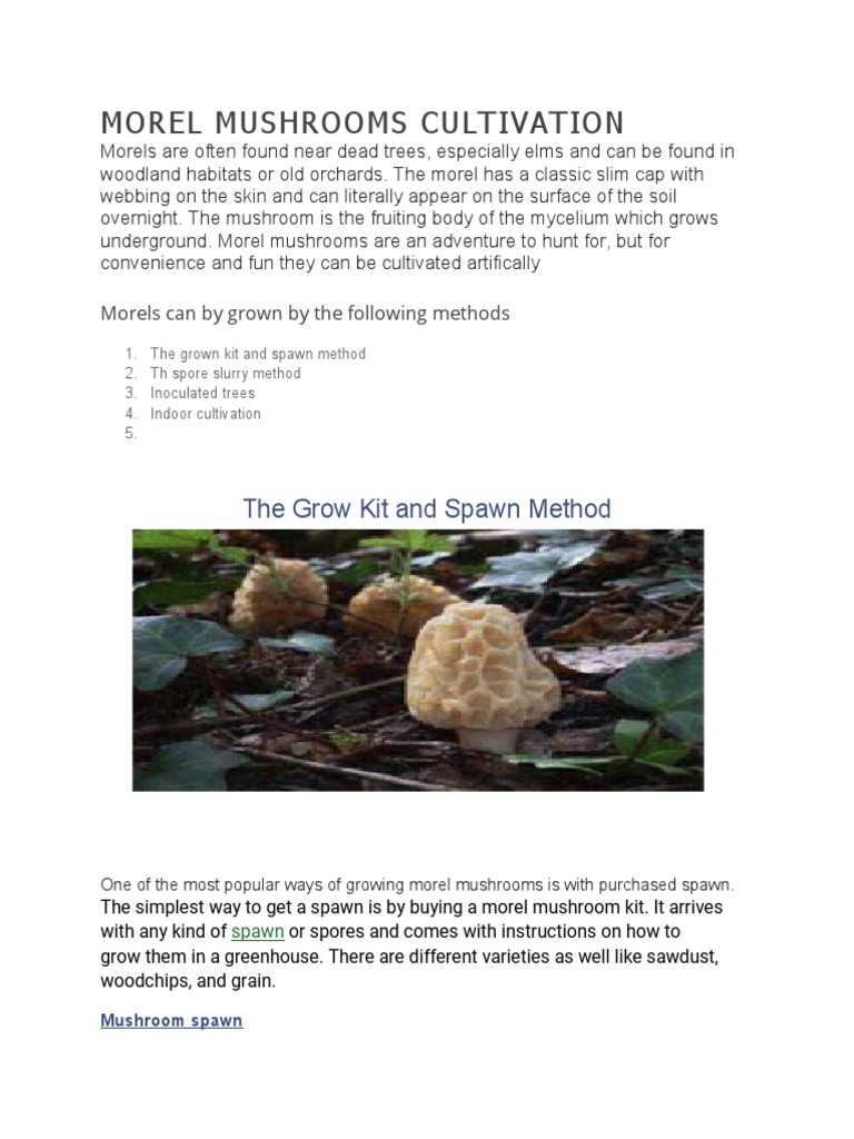 Morel Mushrooms Cultivation: The Grow Kit and Spawn Method | PDF ...
