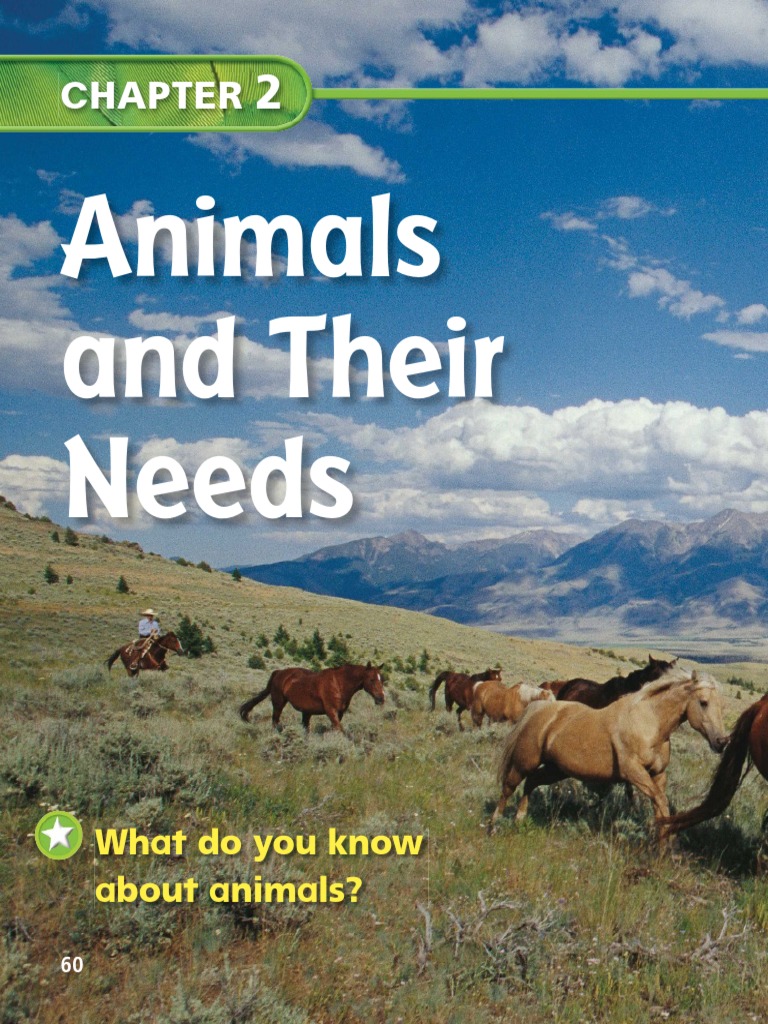 Animals and Their Needs Science | PDF | Tooth | Dinosaurs