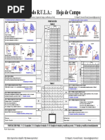Tablas RULA | PDF | Factores humanos y ergonomía | Science