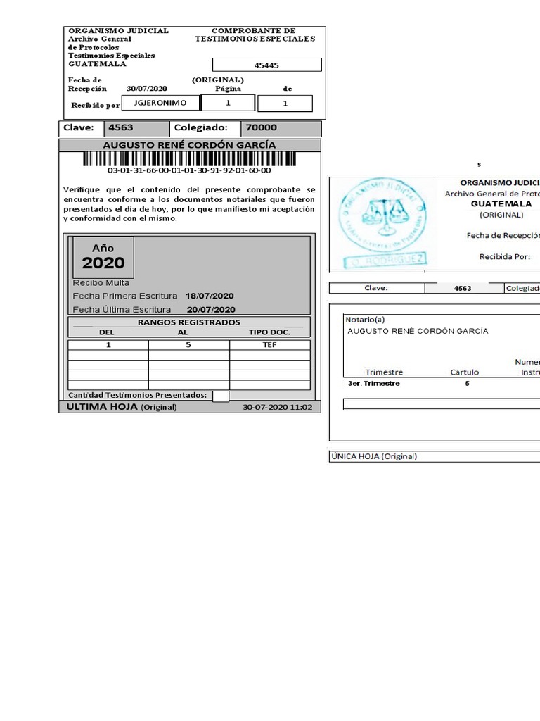 Constancia de Entrega de Testimonios Especiales | PDF Constancia de Entrega de Testimonios Especiales | PDF