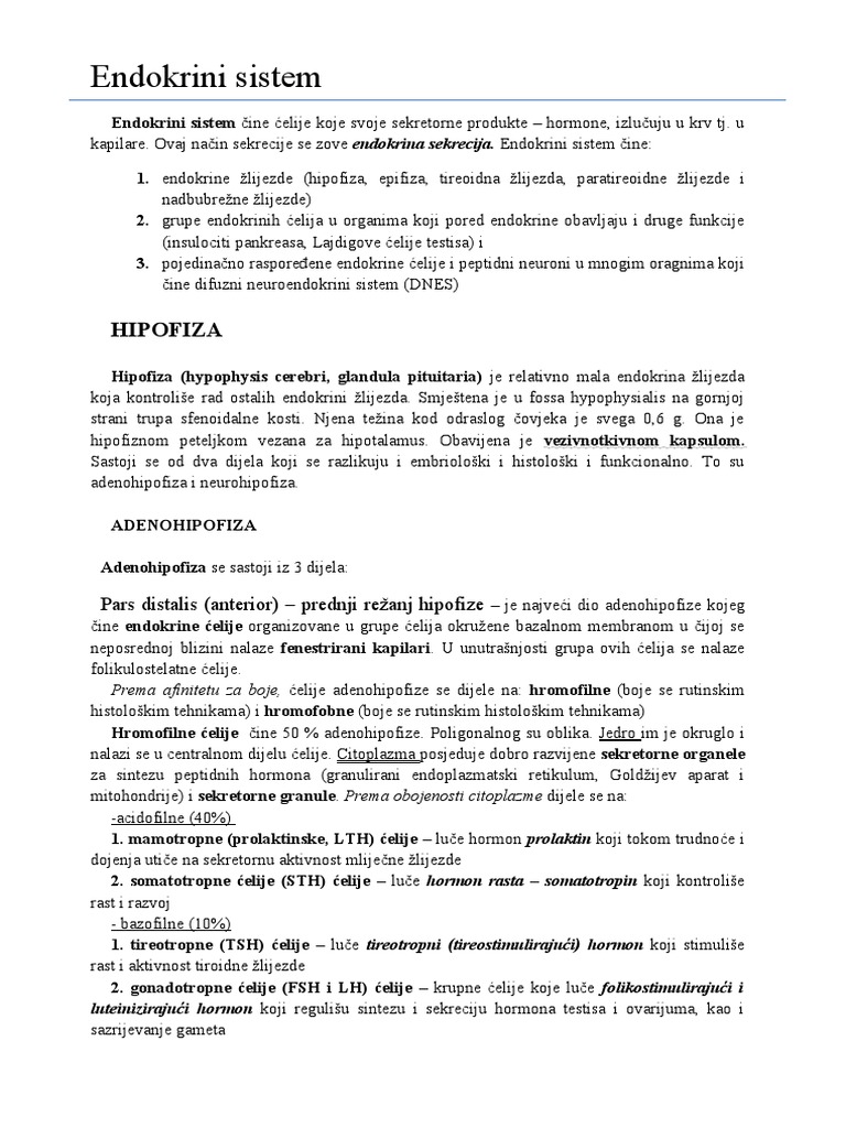 Endokrini Sistem | PDF