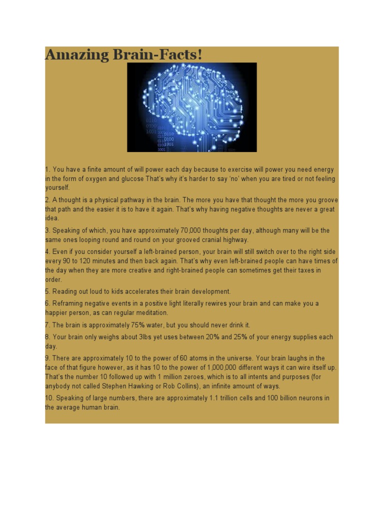 Amazing Brain | PDF | Reward System | Brain