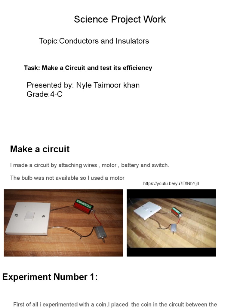 Science Project Work - Nyle Taimoor | PDF