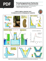 ANSI A300 Pruning Standards Overview | PDF | Pruning | Plant Stem