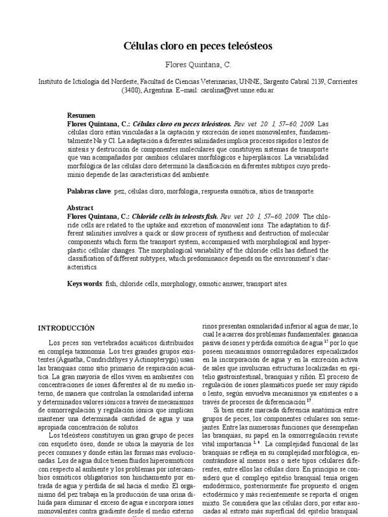 Células Cloro en Peces Teleósteos: Morfología y Función | PDF | Pescado ...