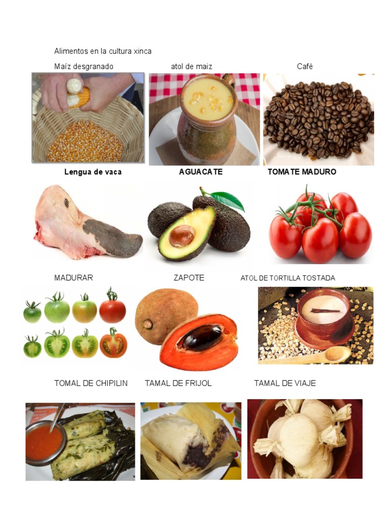 Alimentos en La Cultura Xinca Imagenes | PDF