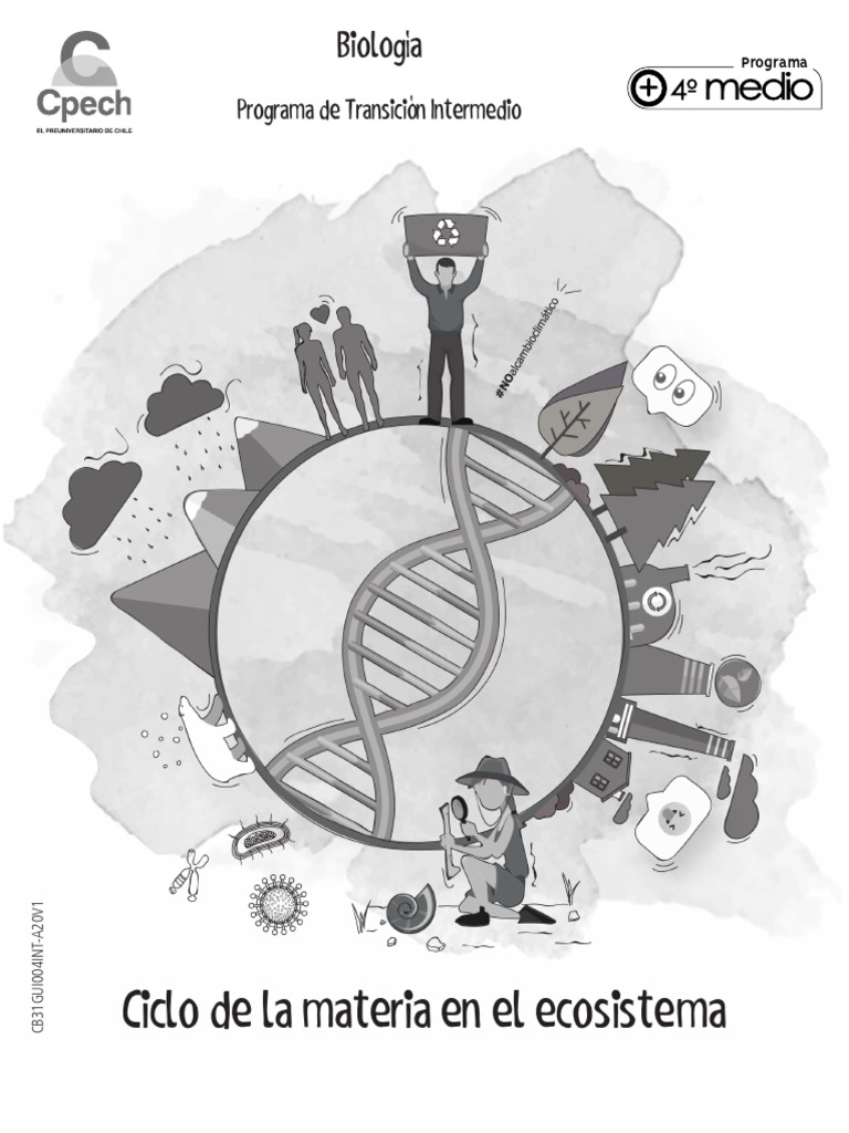 GUIA 4 Ciclo de La Materia en El Ecosistema PDF | Descargar gratis PDF ...