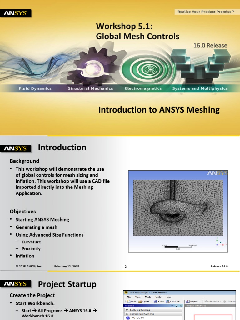 Mesh-Intro 16.0 WS 05.1 Global Mesh Controls | PDF | Curvature | Inflation