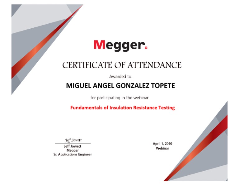 Miguel Angel Gonzalez Topete: Fundamentals of Insulation Resistance ...