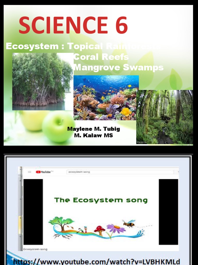 Ecosystems: Rainforests, Reefs, Swamps | PDF