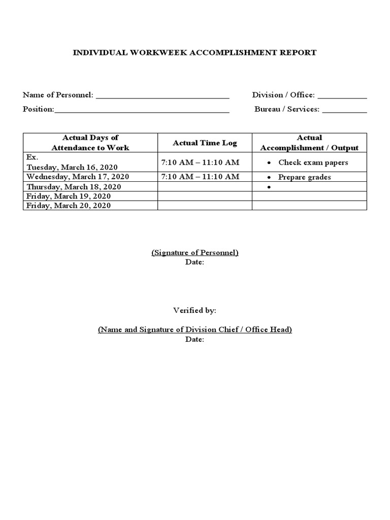 Individual Workweek Accomplishment Report | PDF