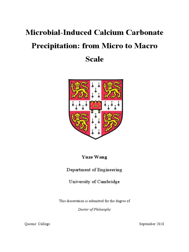 LKJÑ | PDF | Calcite | Soil