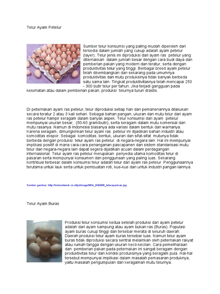 Telur Ayam Ras | PDF