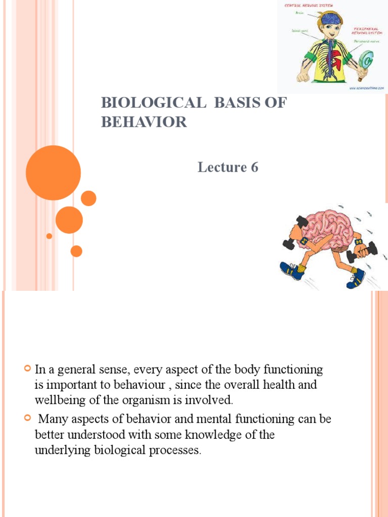 Lec 6 Neurons 1 | PDF | Neurotransmitter | Axon