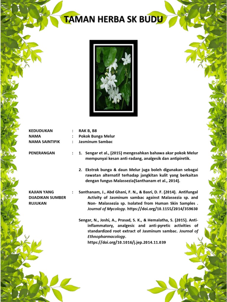 B8 Pokok Bunga Melur PDF | PDF