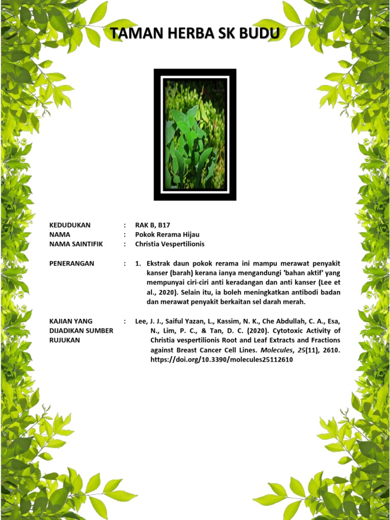 B17 Pokok Rerama Hijau PDF | PDF