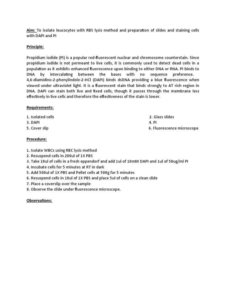 DAPI PI Staining | PDF