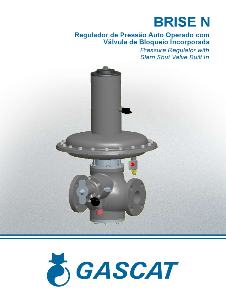 Gascat Brise N Manual | PDF | Válvula | Gases