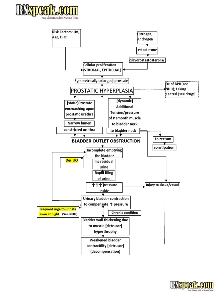 Benign Prostatic Hyperplasia - BPH - Pathophysiology - Schematic Diagram | PDF | Urinary Bladder ...