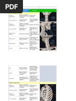 Manual Muscle Testing (MMT) : Dr. Neha Kashyap | PDF | Anatomical Terms ...