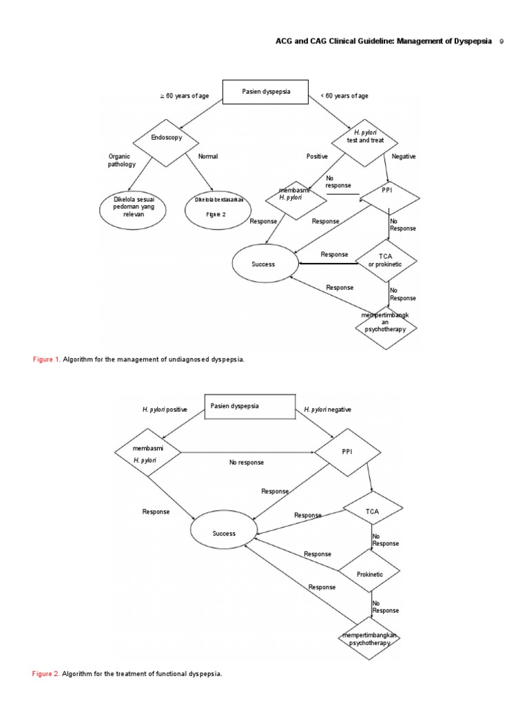 ACG and CAG Clinical Guideline | Indigestion | Digestive Diseases