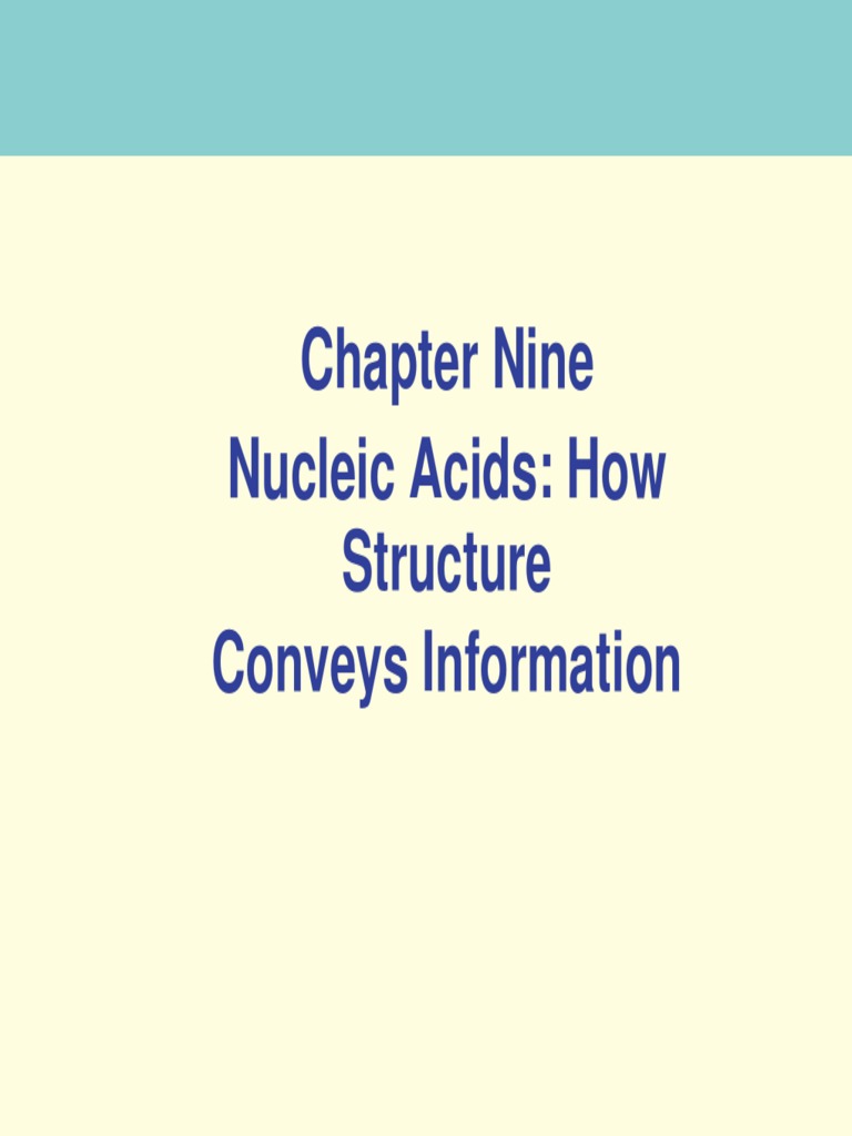 Chapter Nine Nucleic Acids: How Structure Conveys Information | PDF ...
