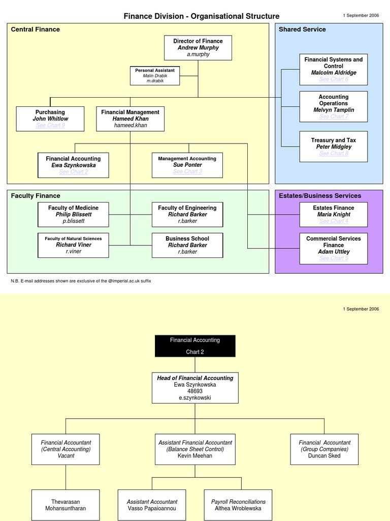 Important Ion Charts | PDF | Accounting | Service Industries