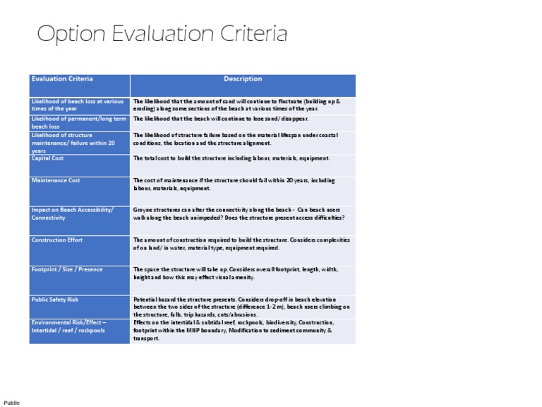 Option Evaluation Criteria 2 | PDF