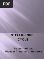 Intelligence Preparation of The Operational Environment (IPOE) | PDF ...