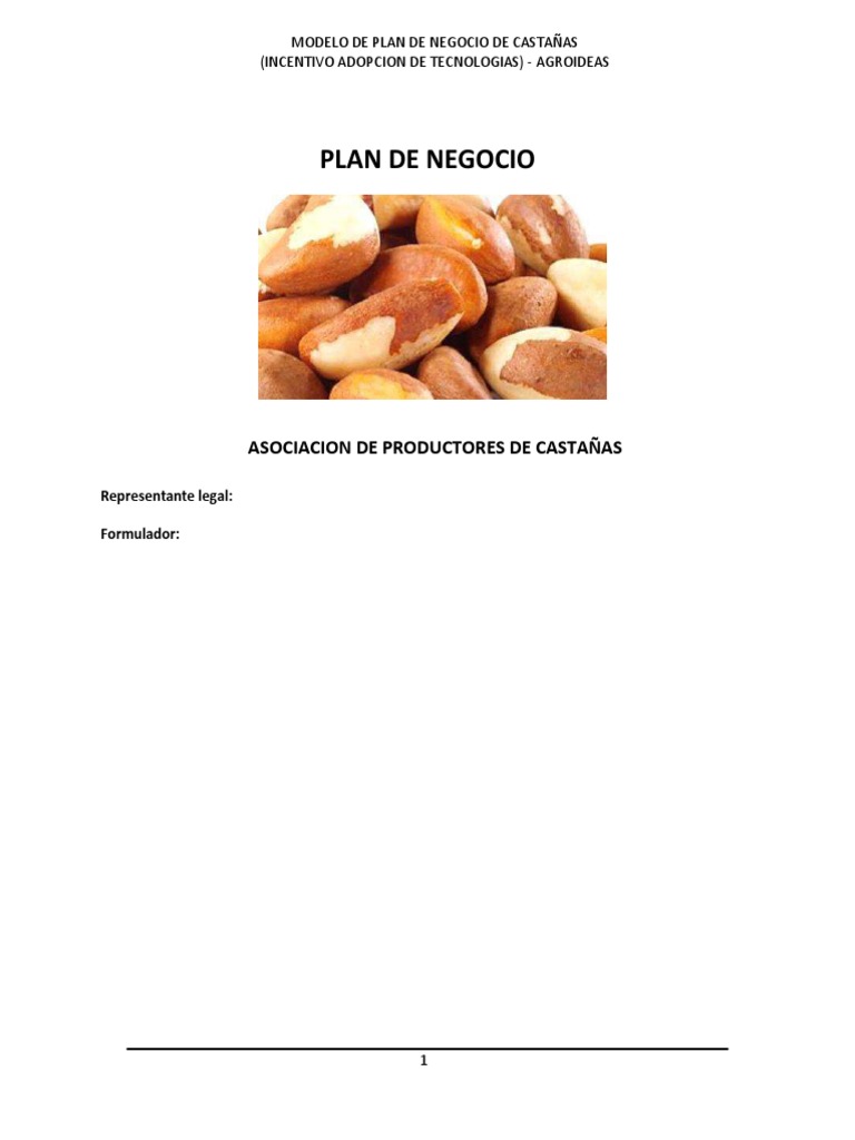 Modelo PNT Castaña | PDF | Plan de negocios | Marketing