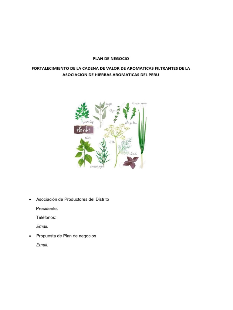 Modelo PNT Aromaticas | PDF | Plan de negocios | Marketing