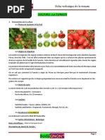 Fiche 8 Technique de La Culture de Tomate | PDF | Fertilisant | Tomate
