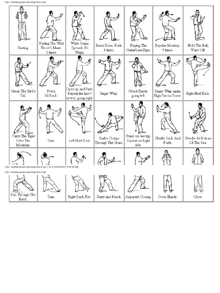 Tai Chi Chart | PDF