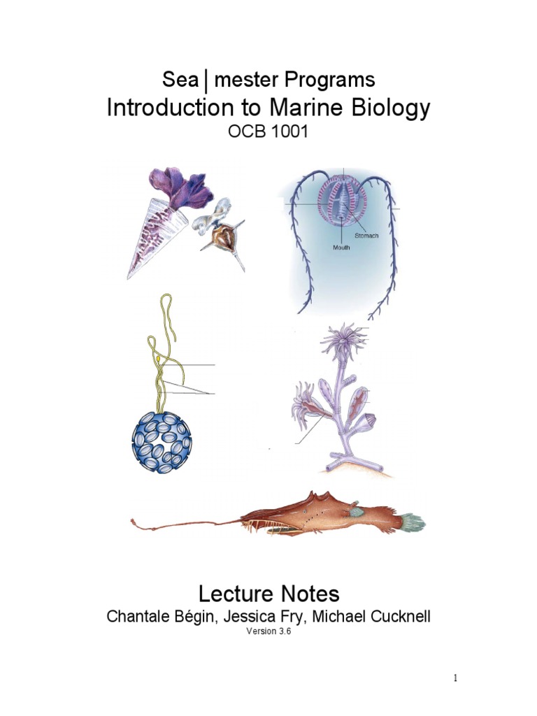 Marine Biology Course Overview | PDF | Cell (Biology) | Gene