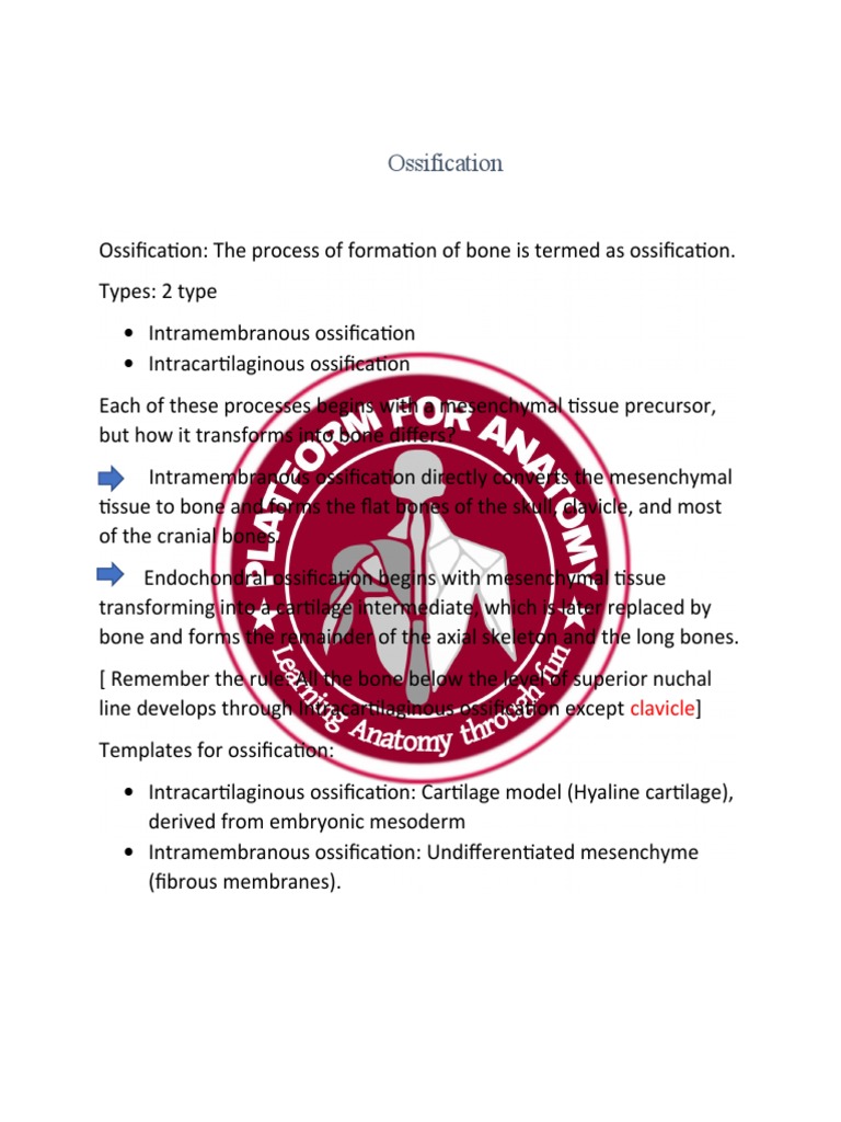 Ossification: Clavicle | PDF | Osteoblast | Bone