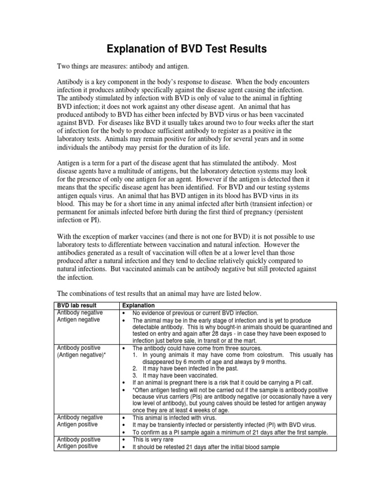 Explanation of BVD Test Results | PDF | Animal Virology | Infection
