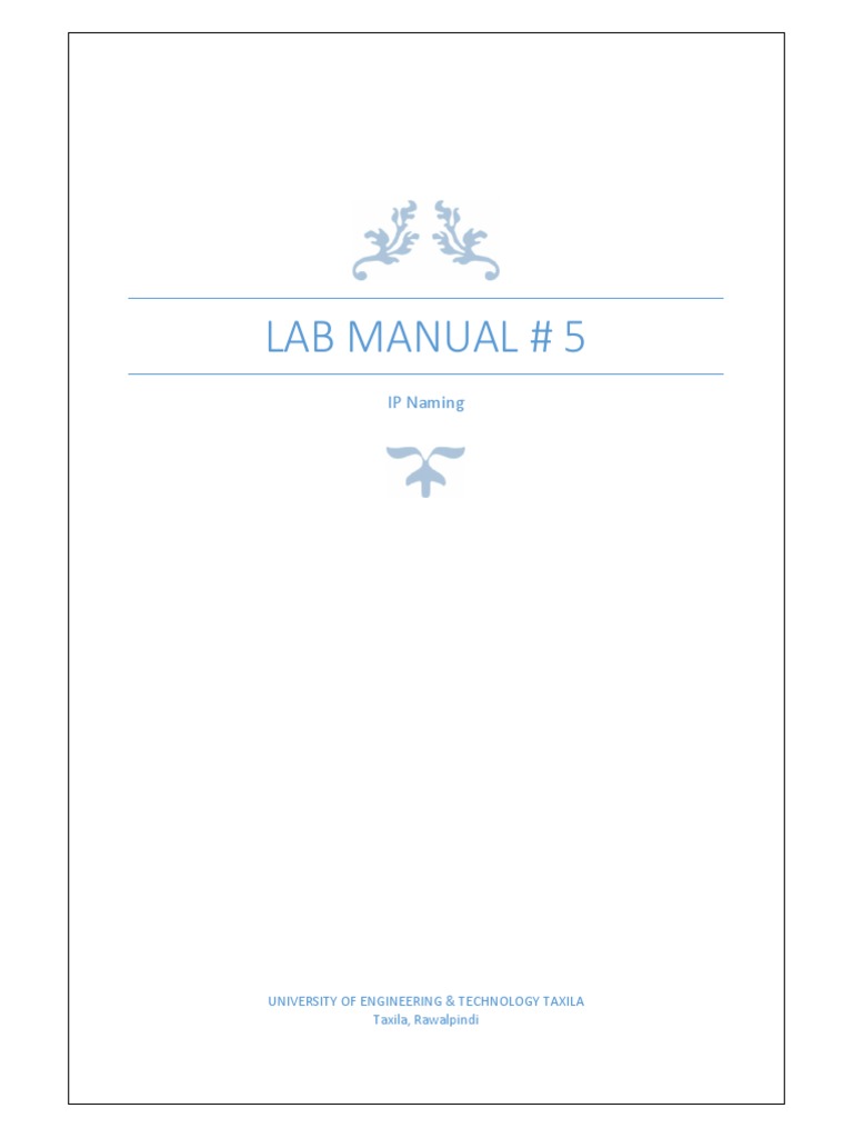 Ccn Lab 5 Ip Naming Pdf Routing Router Computing 2571