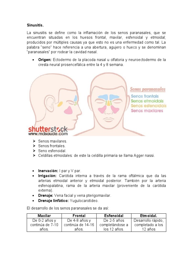 Sinusitis: Causas, Síntomas y Tratamiento | PDF | Anatomía humana ...